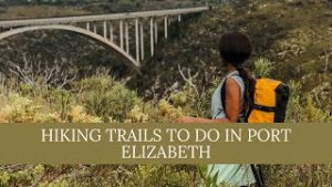 A Nature Lover's Paradise: Discovering Port Elizabeth's Top Hiking ...