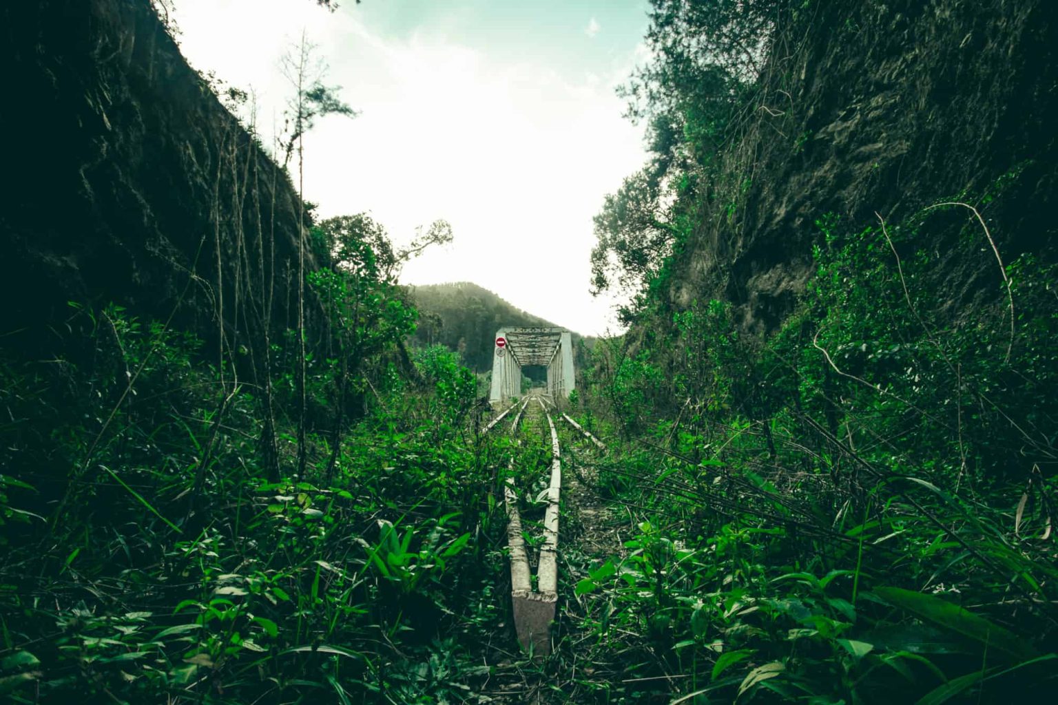 Hennops River Hiking Trail: A Photographic Adventure through Nature's ...