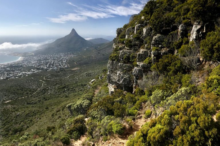 Table Mountain Hiking Trails: A Comprehensive Guide for Adventurous ...