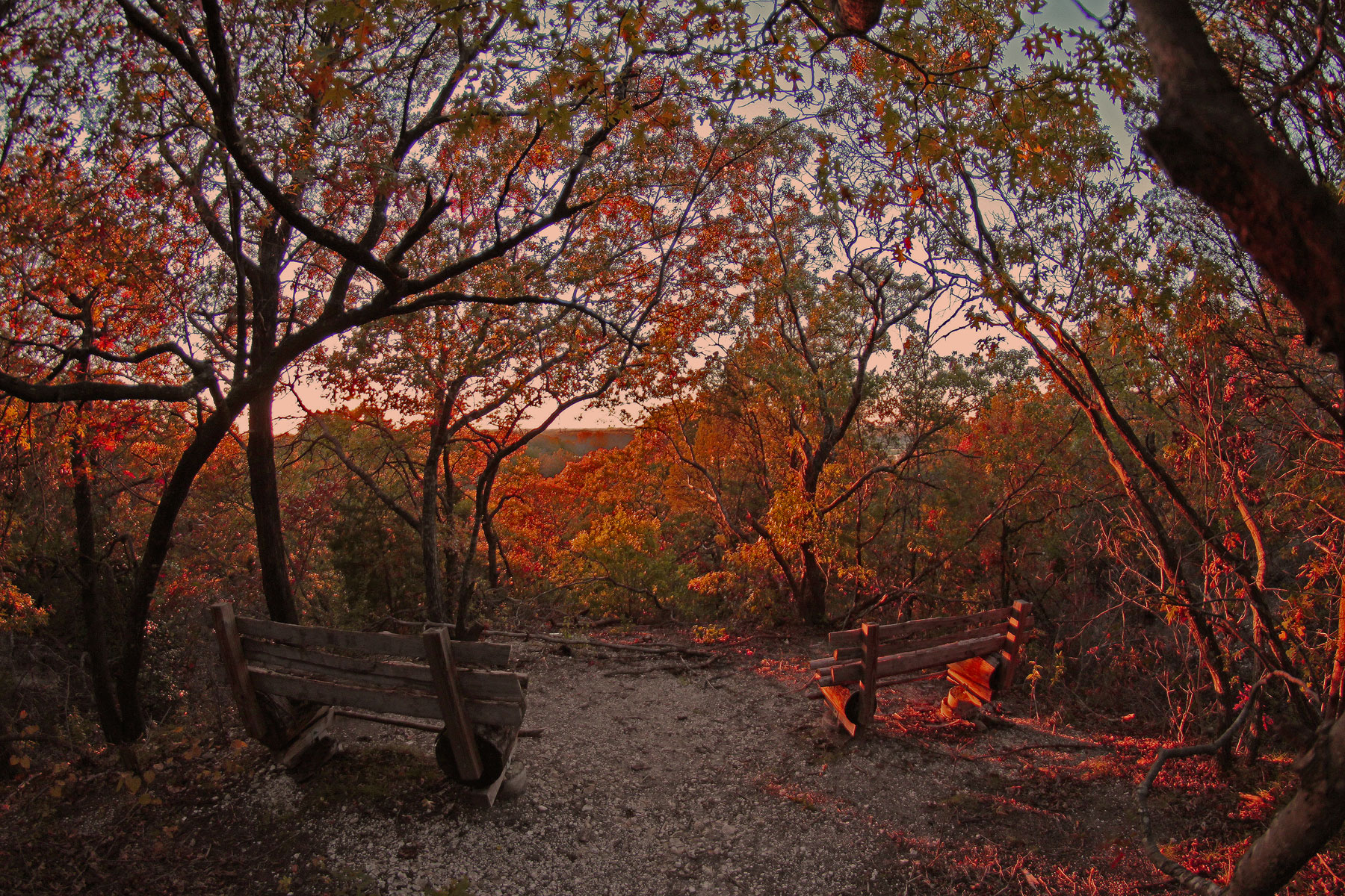 Discovering Dallas: A Guide to the Best Hiking Trails Dallas in the ...