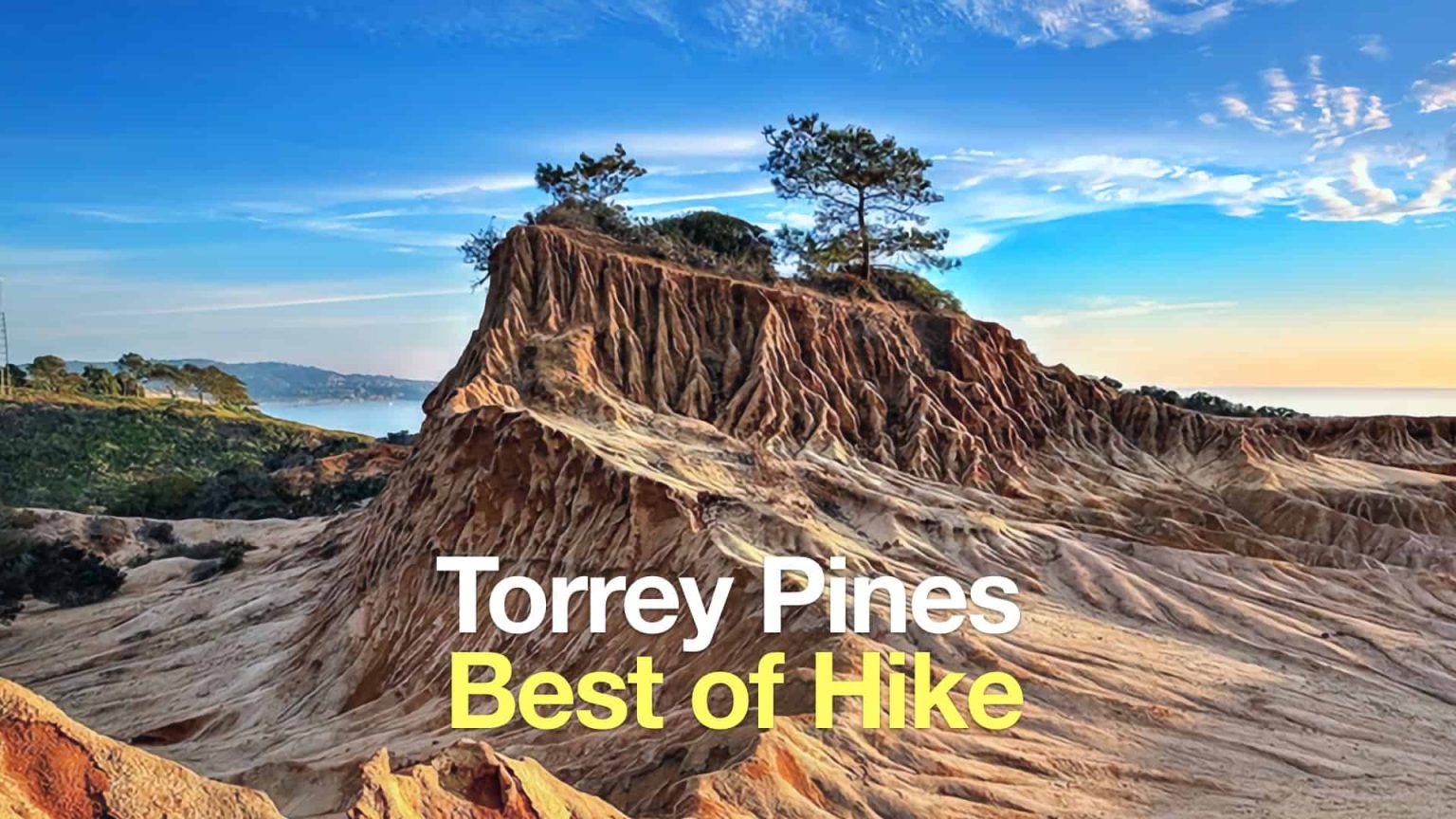 Exploring the Torrey Pines hiking trails: A Hiker's Guide to Coastal ...
