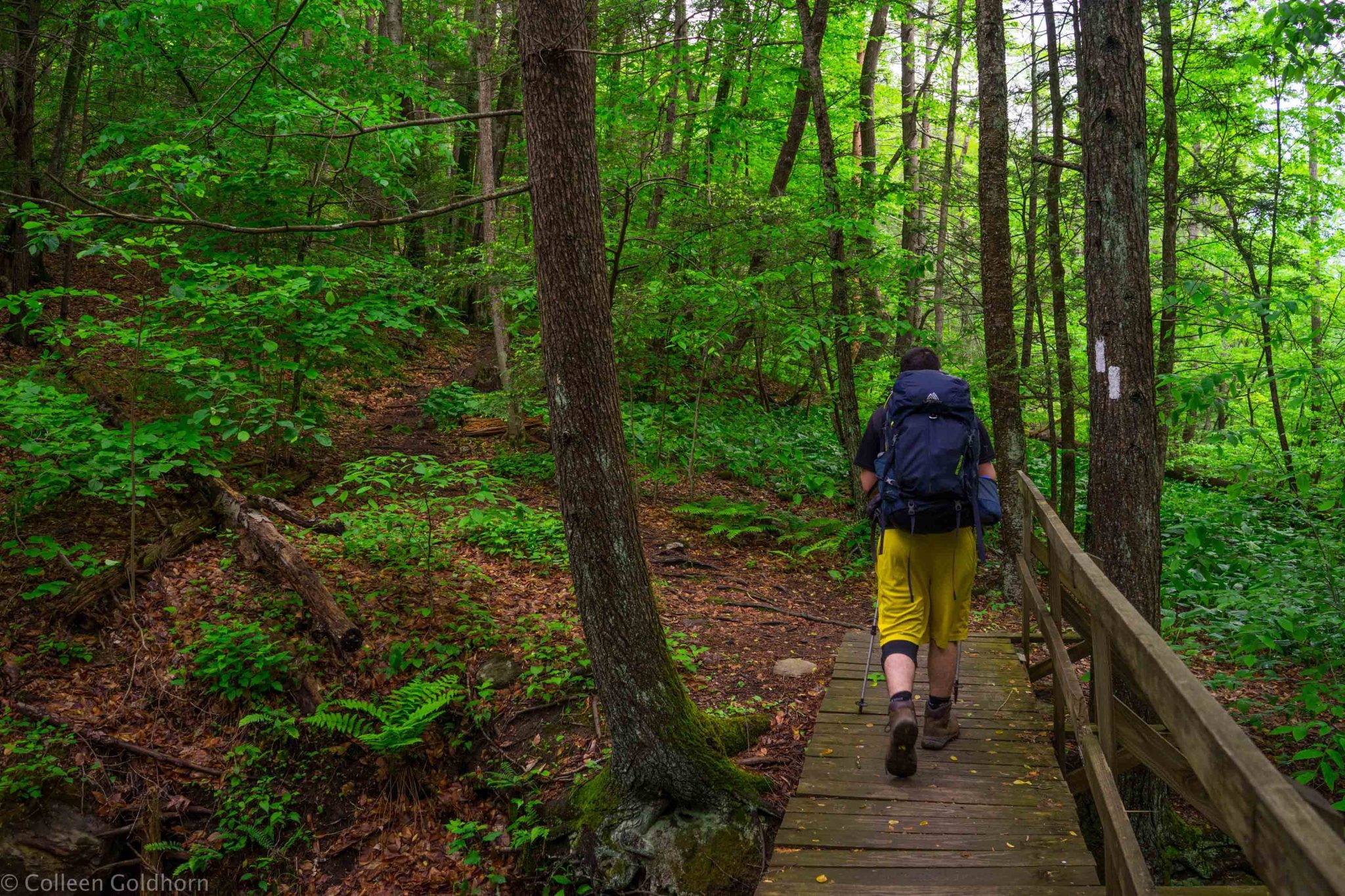 Discovering Nature's Gems: The Best Hiking Trails New Jersey Has to ...
